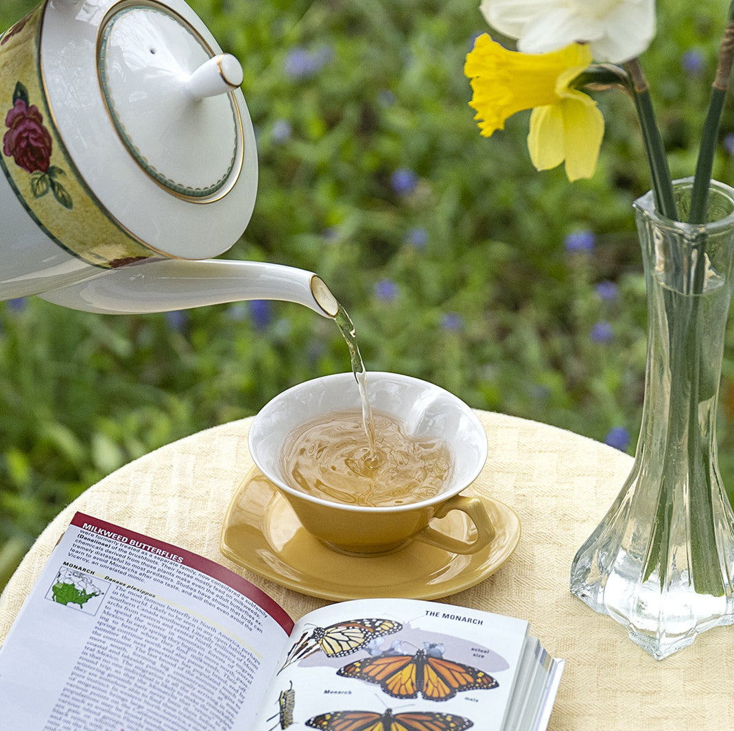 Four Stages Tea